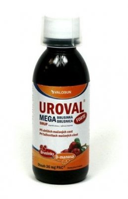 Walmark Uroval MEGA BRUSINKA sirup forte 200ml cena od 229 Kč | Nonstop ...